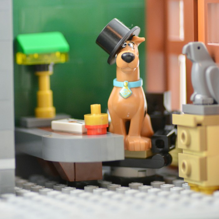 Duke the dog elected as Mayor of Minnesota town for third term | The ...